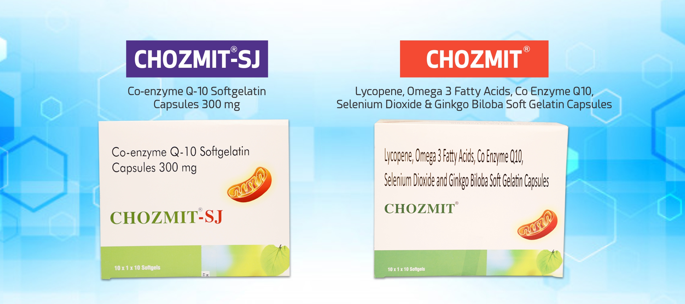 Chozmit Tablets,Chozmit Tablets Suppliers from Delhi in India